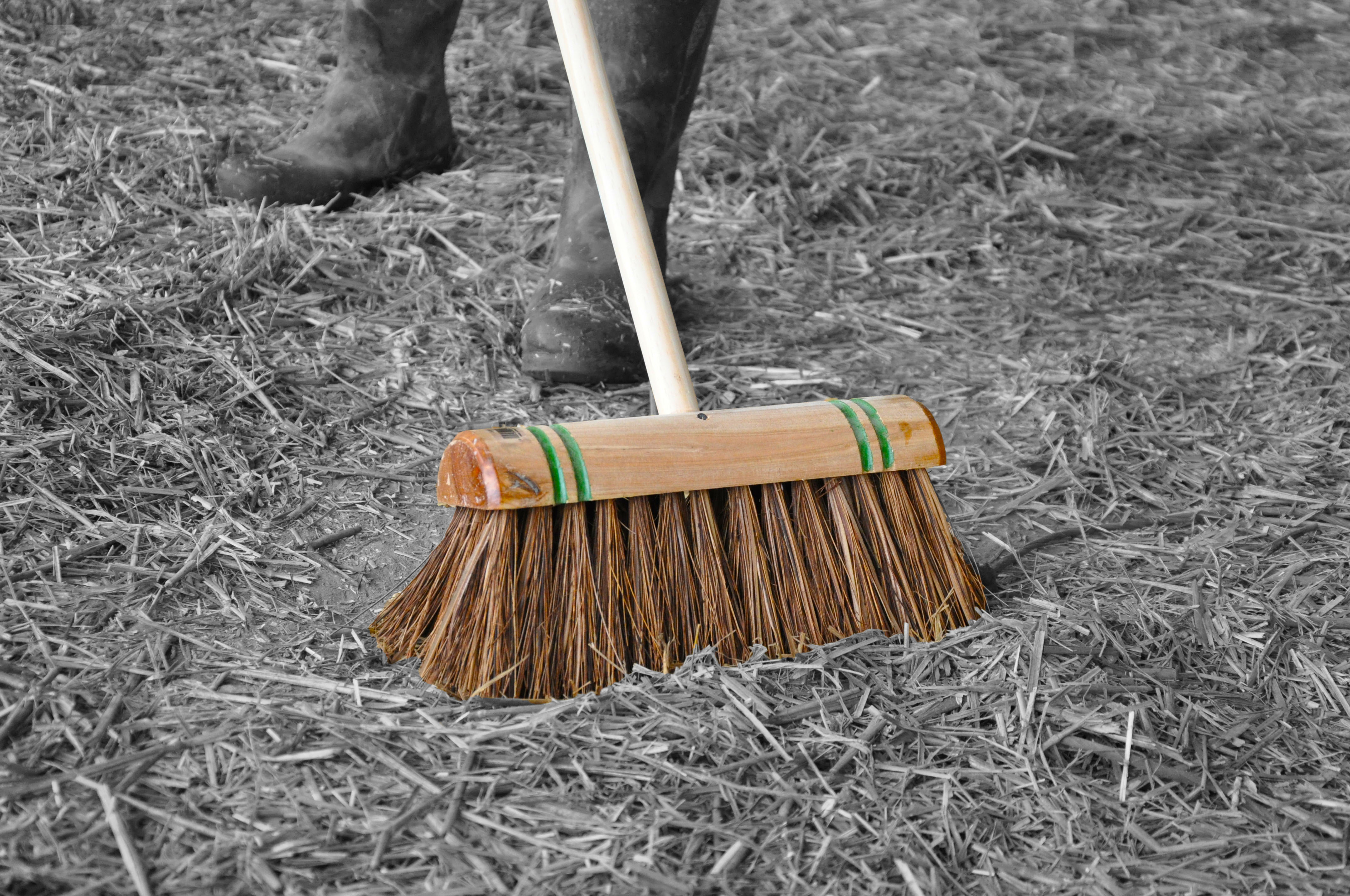 Built for the British Countryside: Hillbrush's Premier Brushes for ...